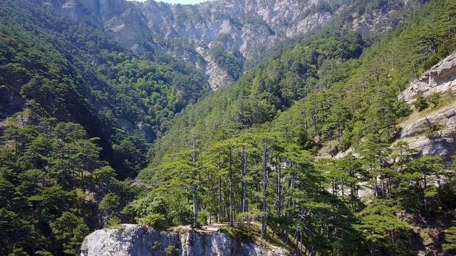 Расслабляющий лесной, горный водопад и умиротворяющая музыка.mp4