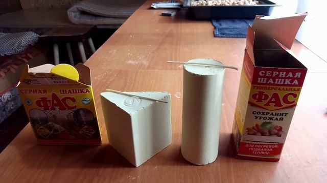 39. 4 апреля 2023 г. На даче. Дымовые шашки. Медный купорос. Побелка. Зимний лук.