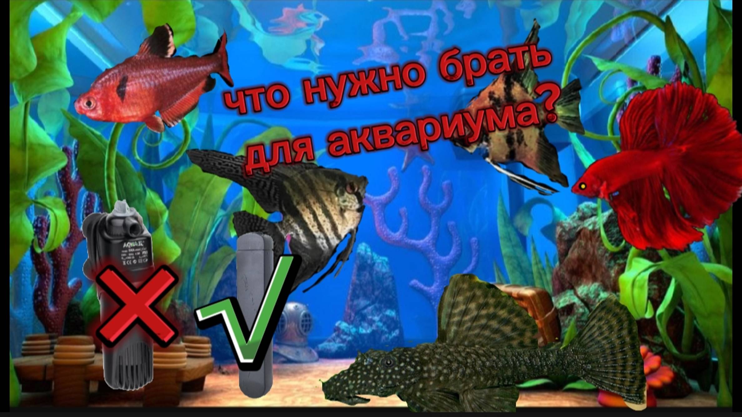 Что нужно покупать начинающим в аквариуме??