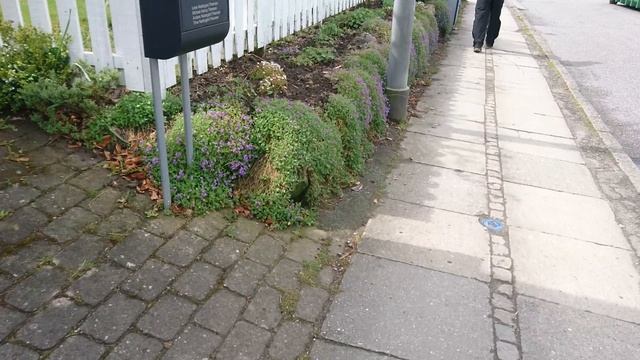 Предупреждающие сирены, Дания. 5 мая 2021