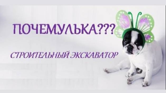 ПОЧЕМУЛЬКА? СПЕЦТЕХНИКА. СТРОИТЕЛЬНЫЙ ЭКСКАВАТОР.