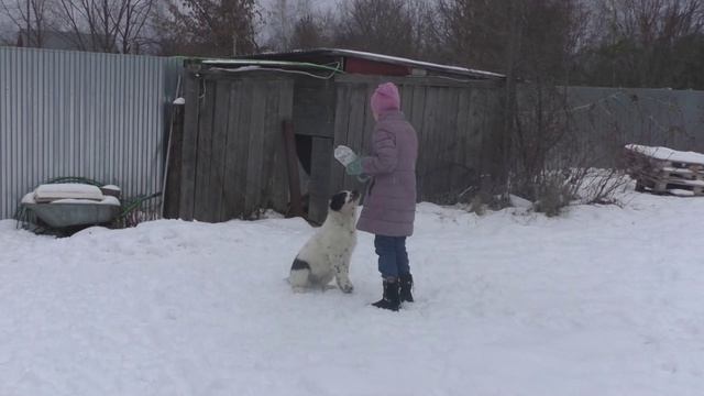 АЛБАЙКИ 3 месяца!