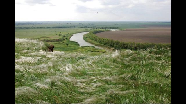 Василий Макеев. Степь цветет