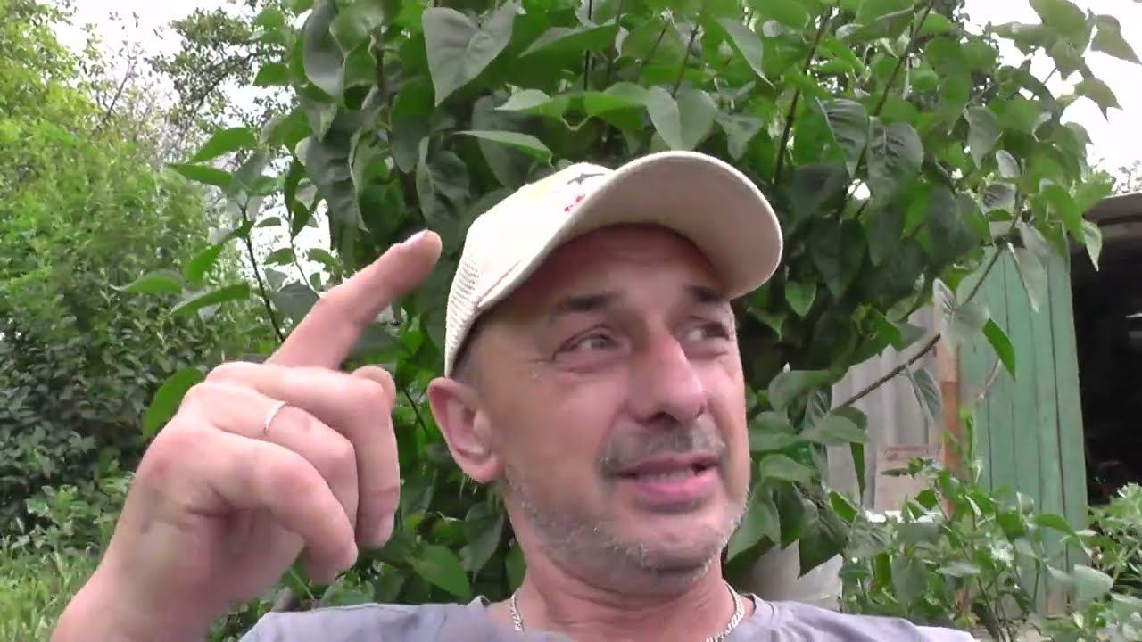 Постройка забора из сетки.