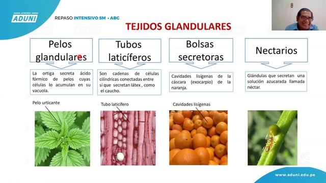 San Marcos REPASO INTENSIVO 2021 | Semana 05 Lunes Parte 02