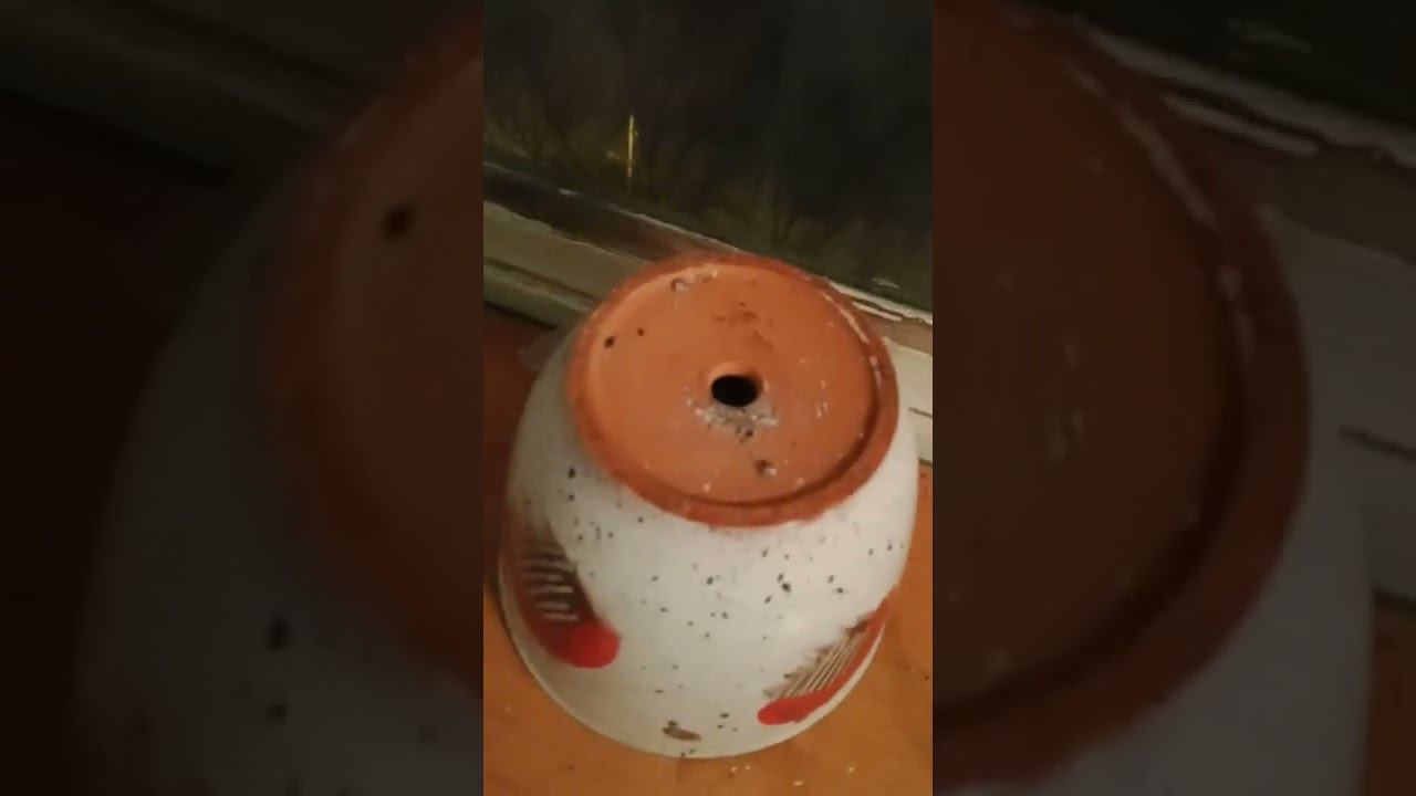 Пепельница, которая сама тушит окурки