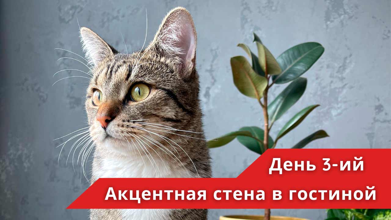 Акцентная стена в гостиной :: День 3-ий