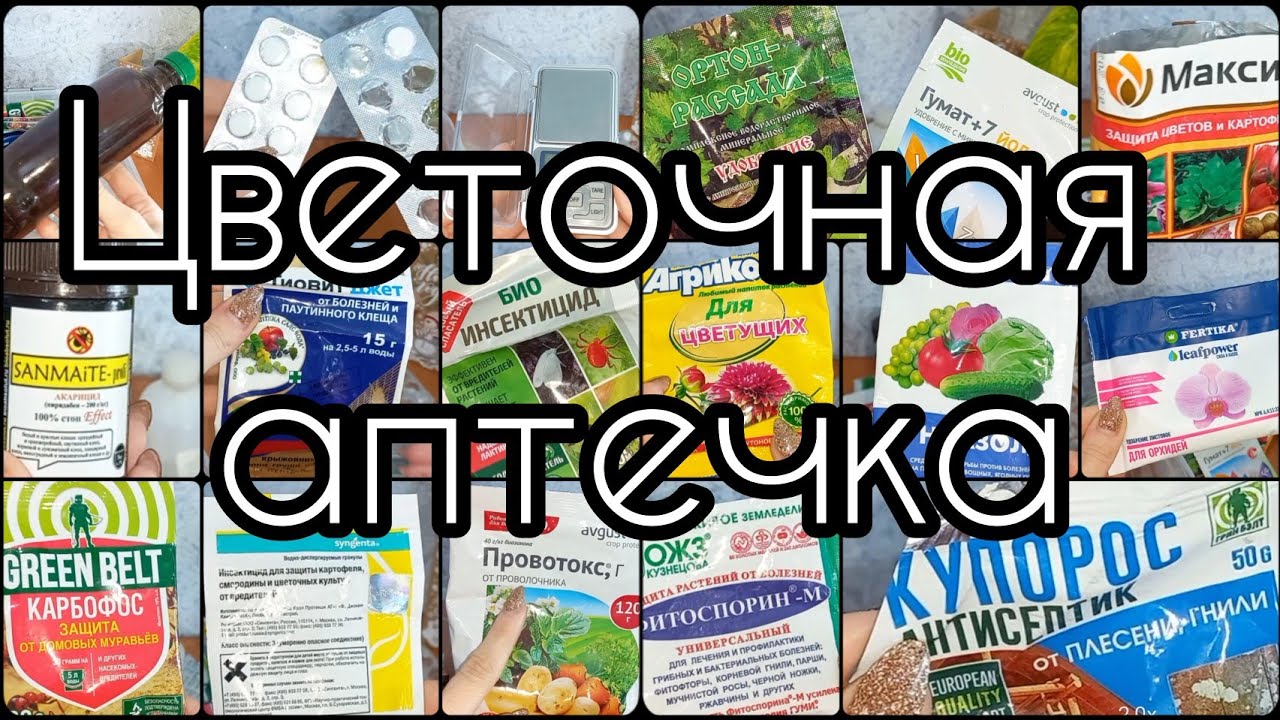 Цветочная #АПТЕЧКА?#защитарастений #клещи #насекомые #болезнирастений #удобрение #растения #цветы