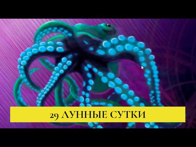 29 ЛУННЫЕ СУТКИ