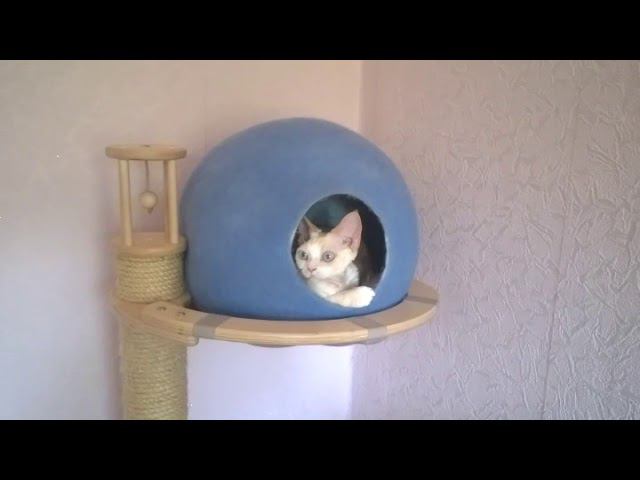 Валяный круглый домик для кошек