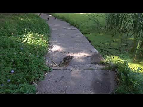 Вкусный червячок