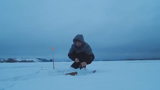 Две сработки - два налима