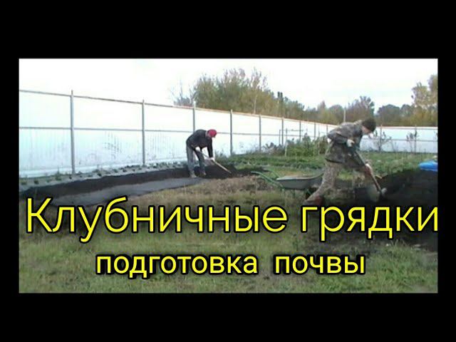 Грядки для клубники на Кубани-1 этап