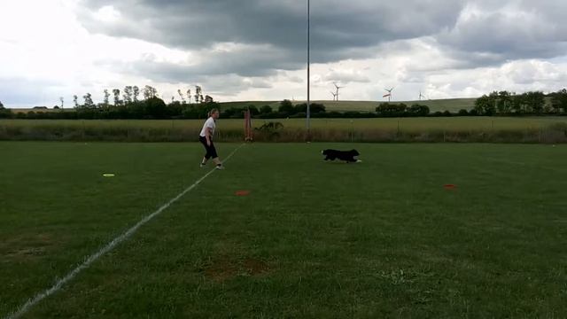 AWI Qualifier Austria'17 Diana & Josie.mp4