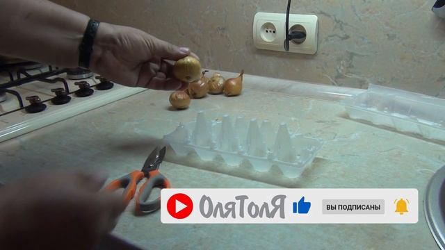 ЛУК НА ПЕРО