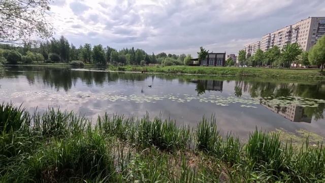 Колпино 2024г.