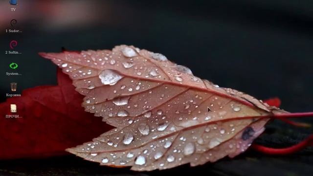 Debian ч46. Cборка Debian10.8Xfce_amd64-Dark_mini