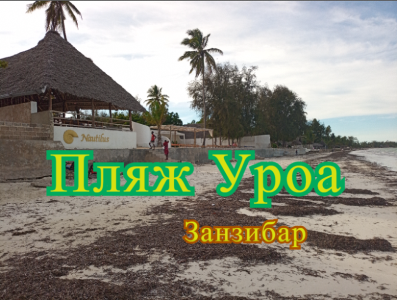 Пляж Уроа Занзибар Uroa Beach