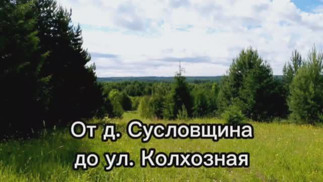 От деревни Сусловщина до улицы Колхозная села Боровица.mp4