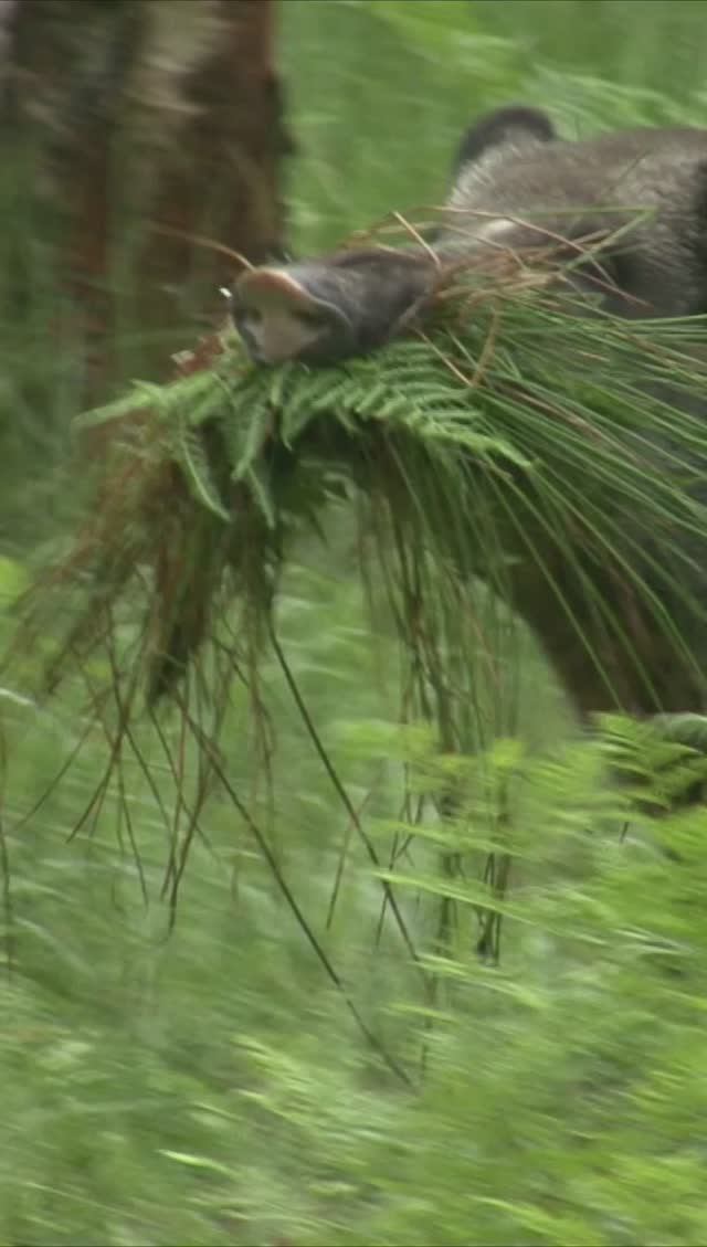 ХОЗЯЙСТВЕННЫЙ КАБАН