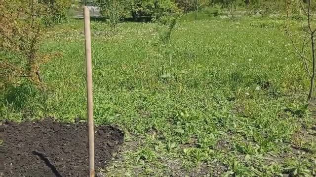 Надо, Света, надо! Начало есть?