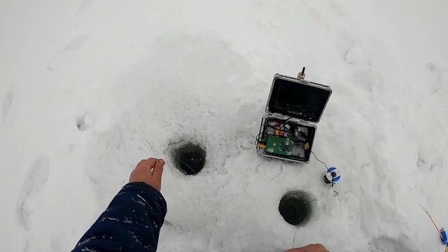 Февраль выезд за плотвой