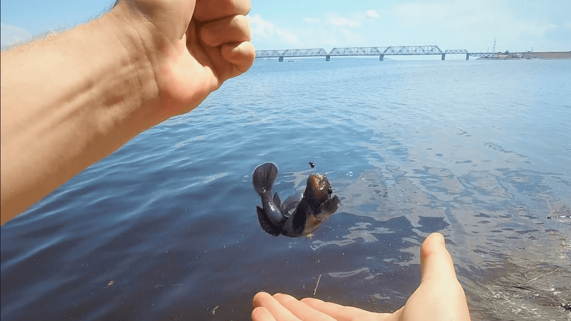 МОРМЫШИНГ В ТЯЖЕЛЫХ УСЛОВИЯХ__ Городская рыбалка на Волге #fishingholidays #рыбалка #мормышинг