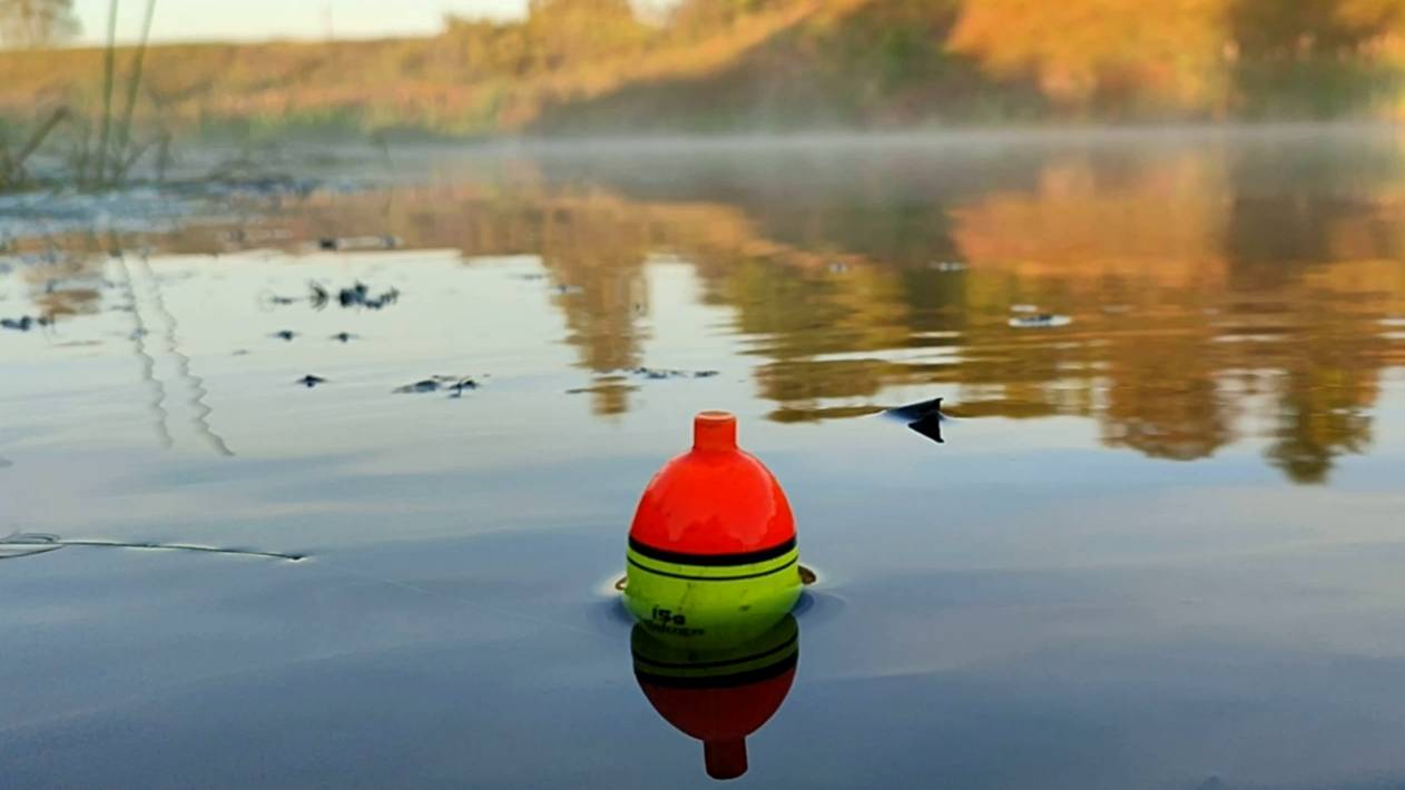 ОСЕННИЙ ЖОР ЩУКИ Рыбалка на поплавок