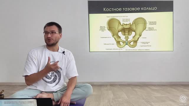 1 РС. Анатомия и физиология Женской репродуктивной системы (10.08.24)