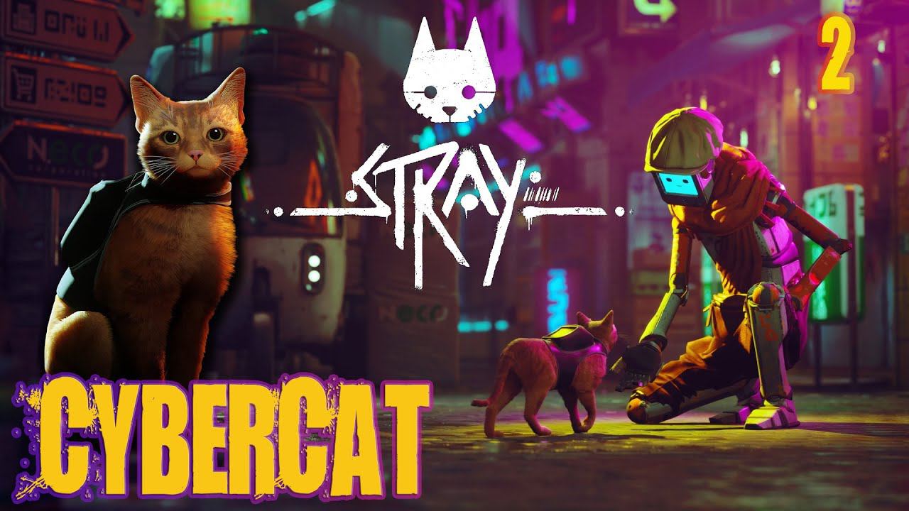 Stray – История Киберкотика ▶СТРИМ #2