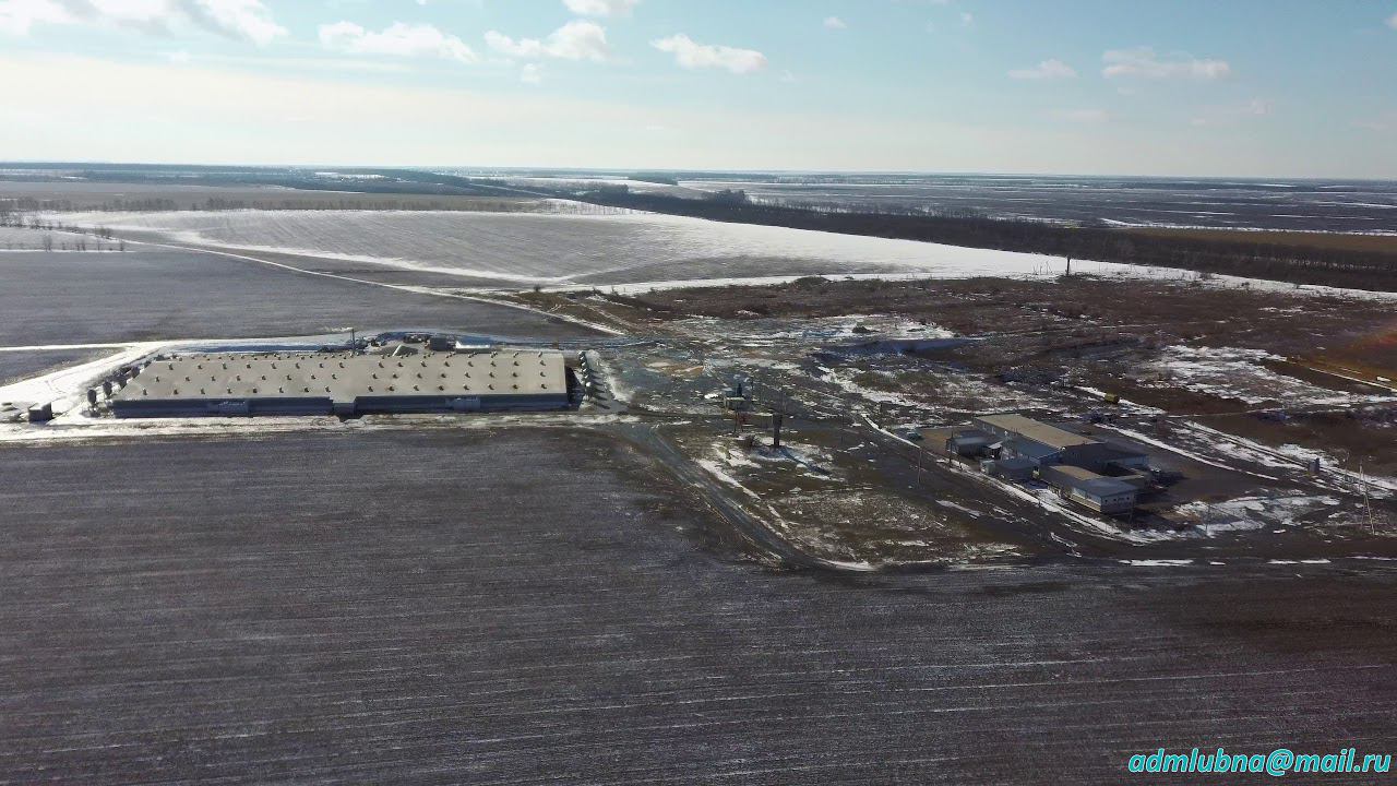 Свиноводческий комплекс в Сухой Лубне Липецкого района.