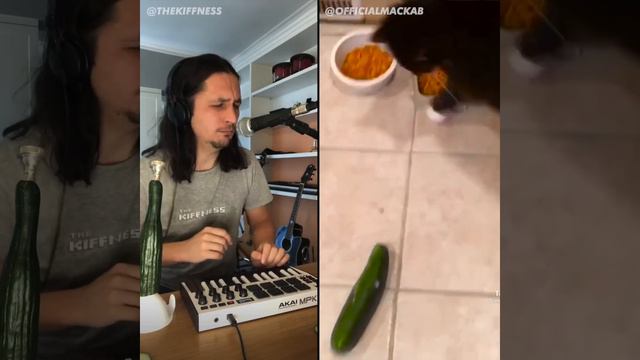 Знаменитая песня про огурец - Кукумба