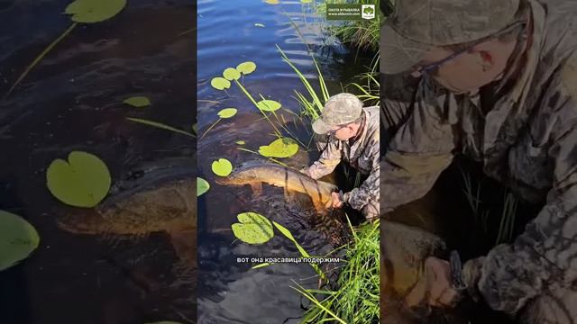 Вот и щука, пойманная в охотхозяйстве на озере Исполе