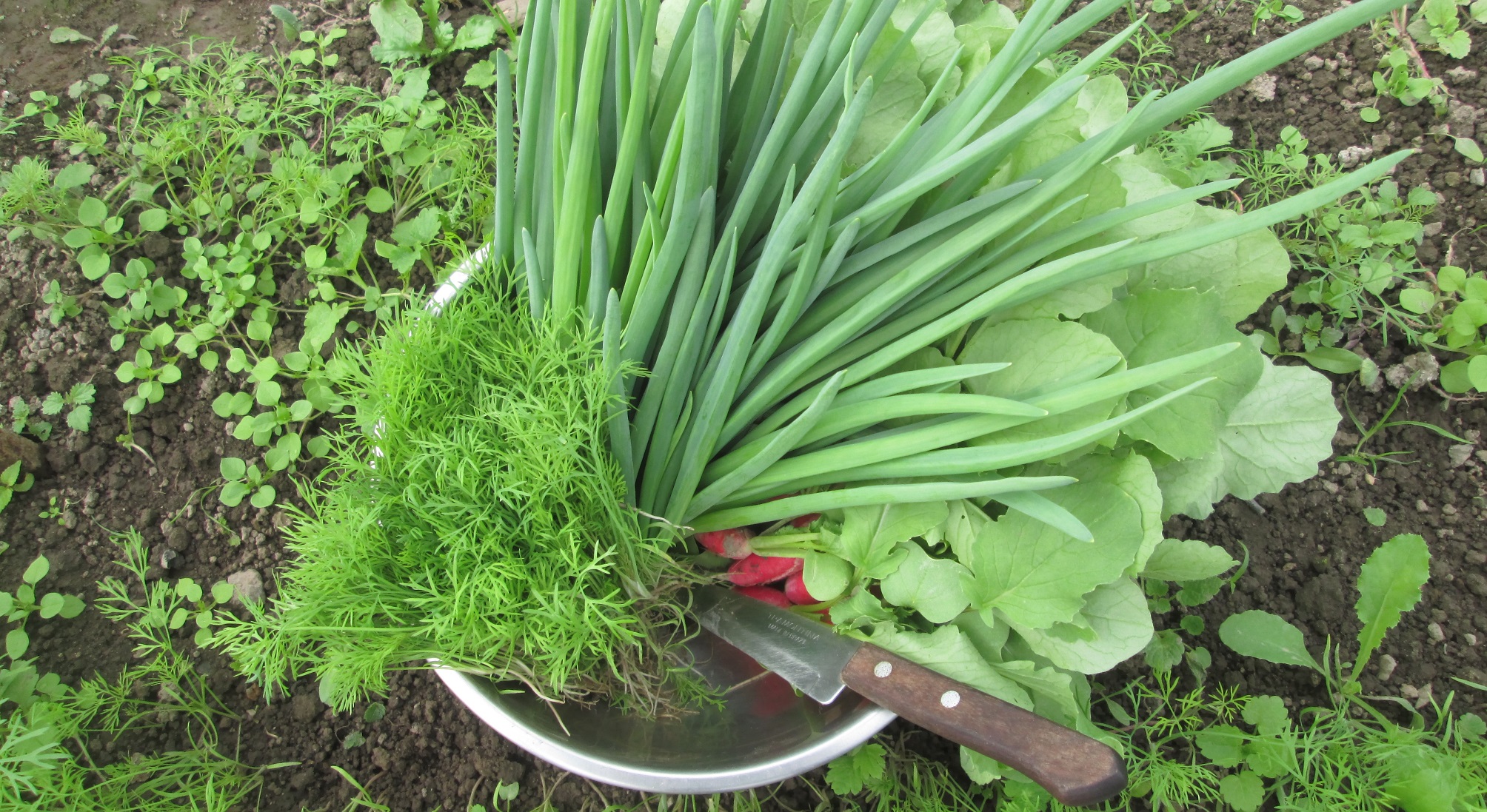 Урожай в апреле