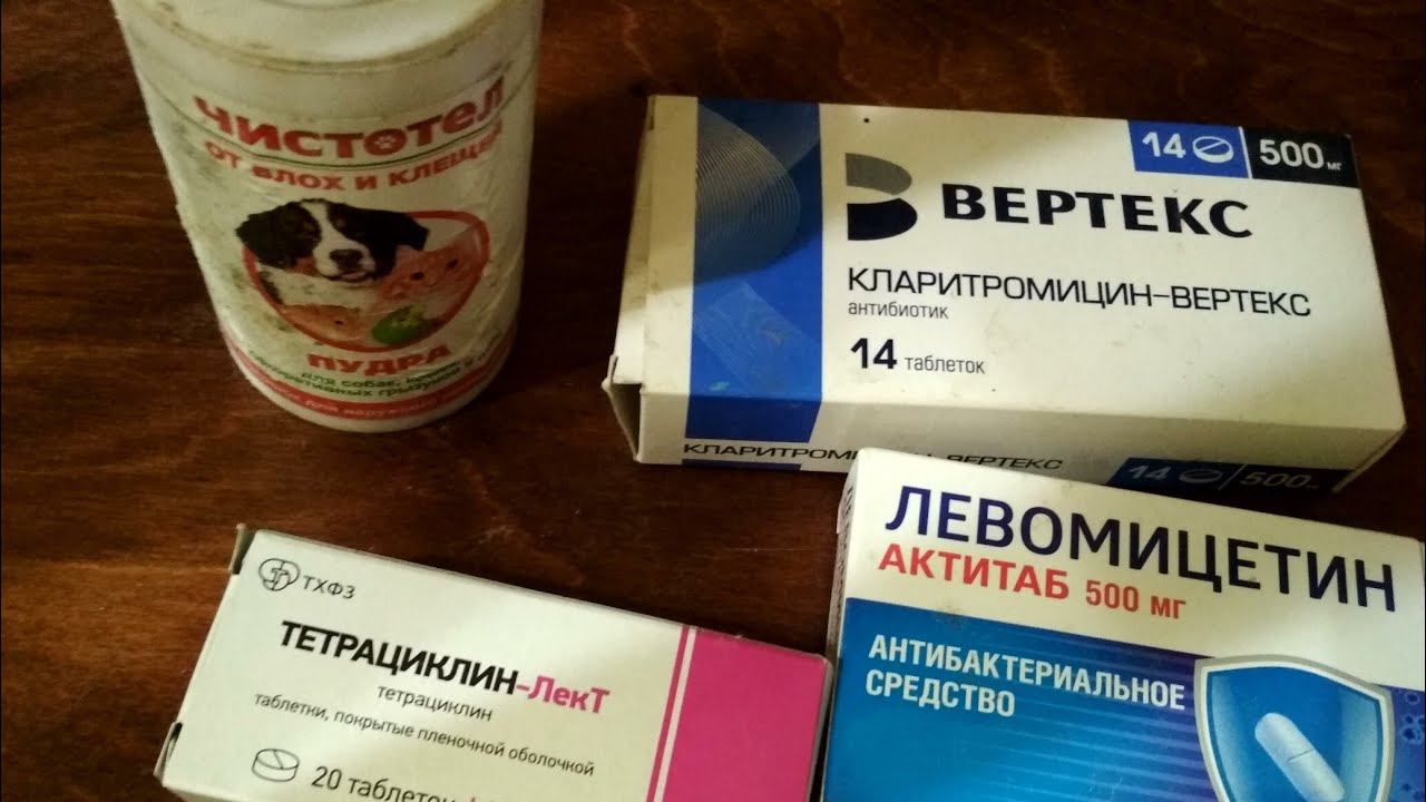 Птица дохнет без признаков болезни//блохи клещи пухоед чем лечить