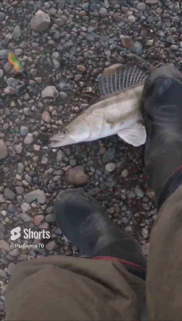 СУДАК ОТКРЫТИЕ СЕЗОНА 2024