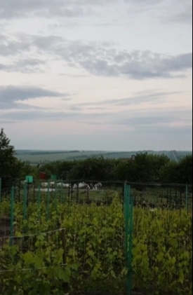 Рассвет на даче.