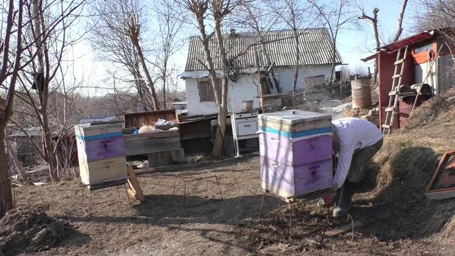 Пчёлки 78. Весенняя ревизия, Ч.3