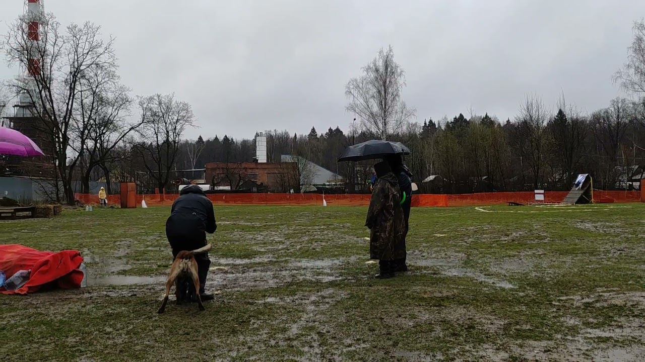 Высыл вперёд на 40 метров