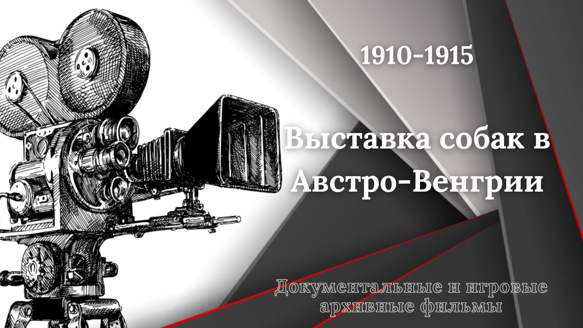 1910-1915г Выставка собак в Австро-Венгрии