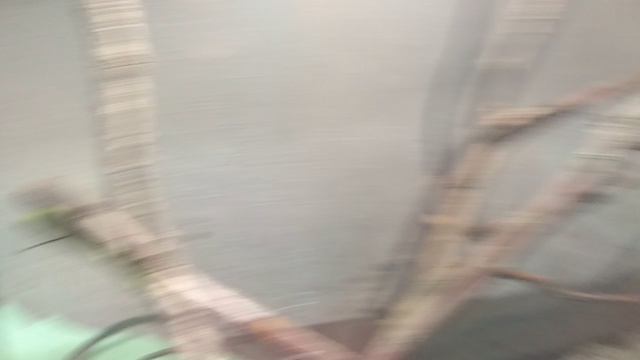 мои богомольчики