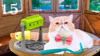 Полезные вещи для домашних животных с АлиЭкспресс