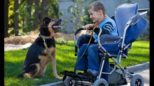 Видеопрезентация "Анималотерапия. Как животные лечат"  (12+)