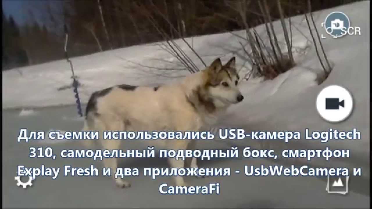 Использование USB-камеры и смартфона для подводной съемки со льда