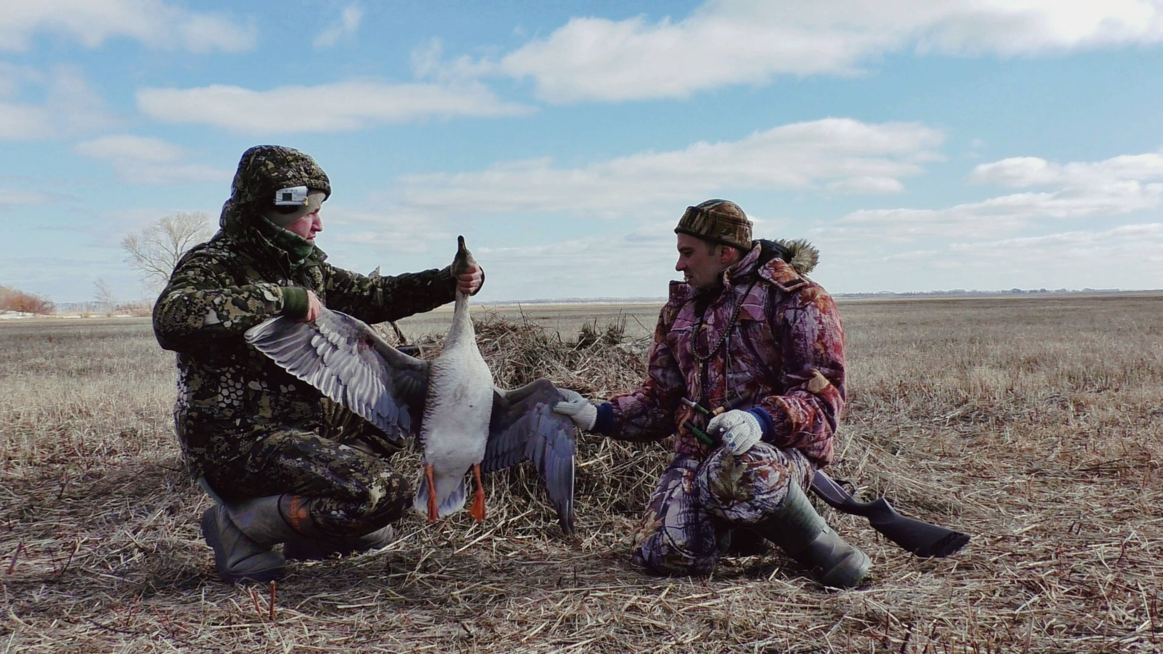 Охота на гуся 2023 / Трейлер / Алтайский край