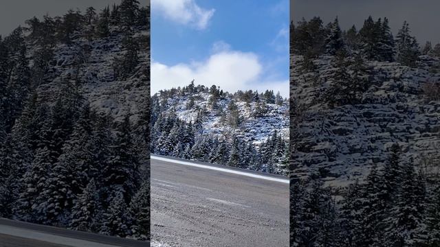 По дороге в Конью (Турция, Сейдишехир) #shorts