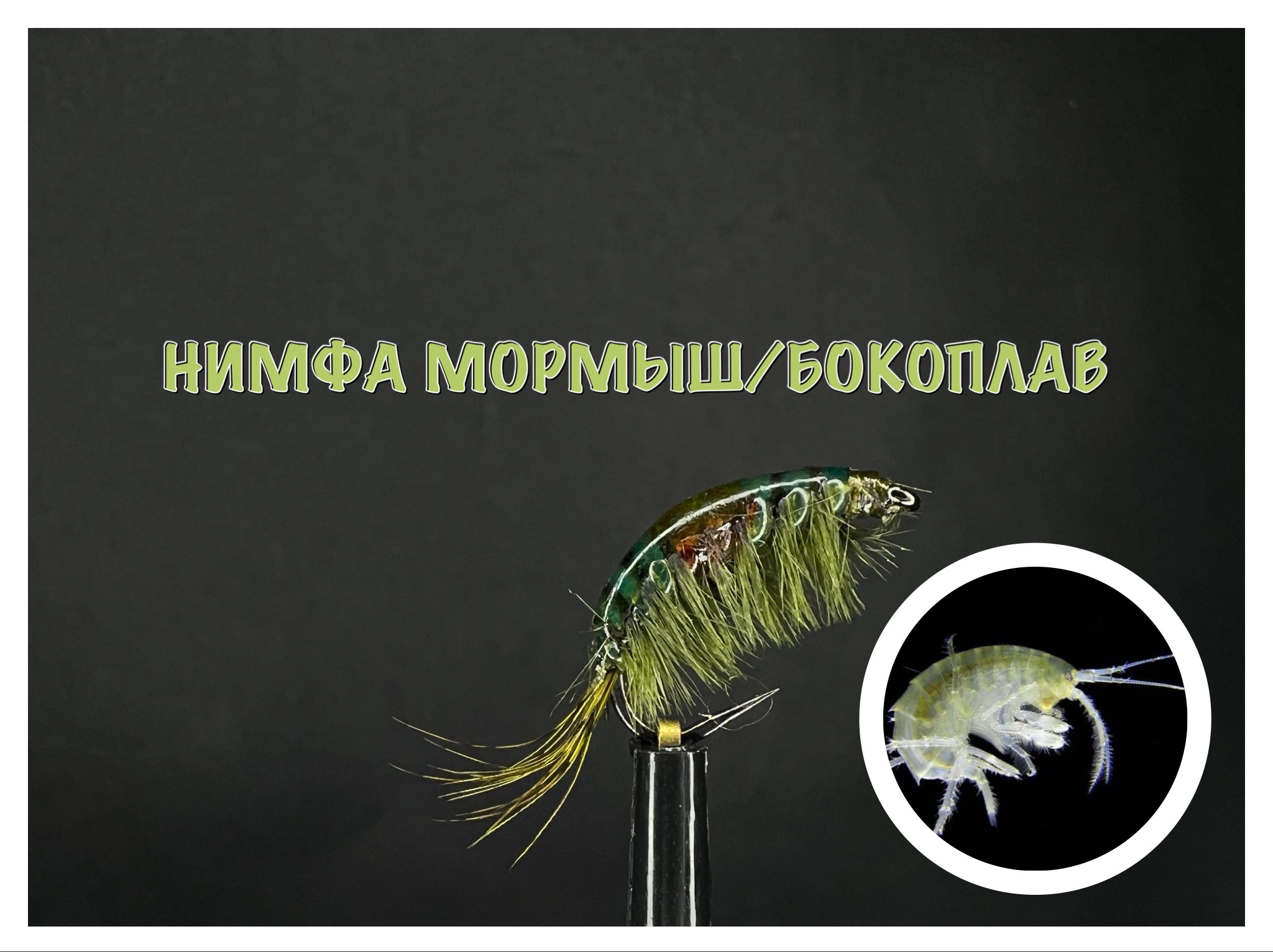 Нимфа Gammarus (Мормыш/Бокоплав) Как связать от GM FLY