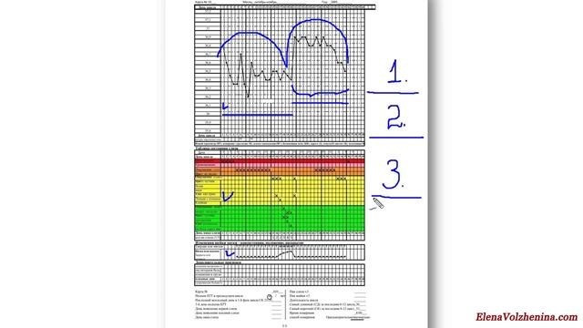Нетипичные циклы. НЛФ - Урок 2-2(продолжение).