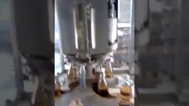 20/Укупоривание стеклянной бутылки. Машина укупорочная серии ЛПМ4