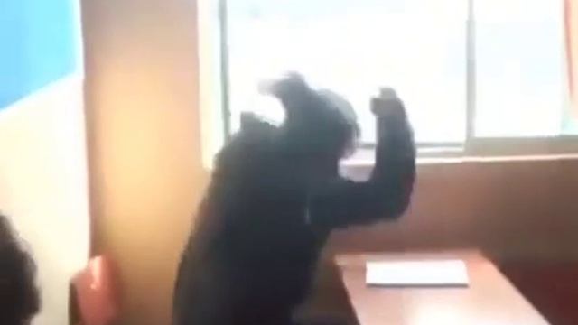 Когда напомнил о домашке